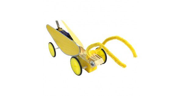 DIY Wooden Insect Mobile Robot STEM Kit