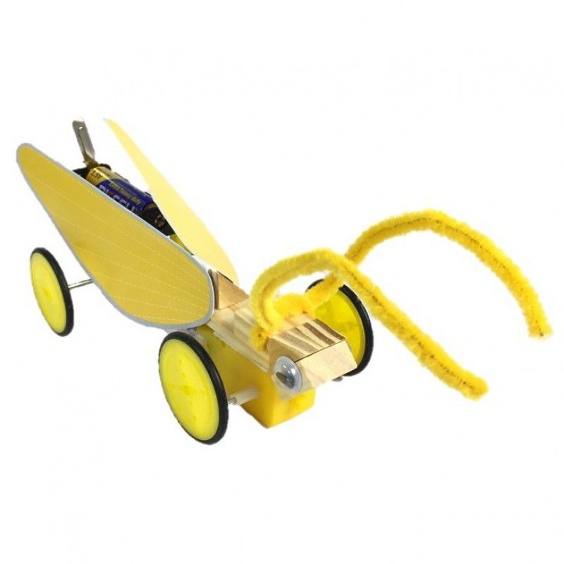 DIY Wooden Insect Mobile Robot STEM Kit