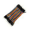 40-Way 10cm Dupont Jumper Wire