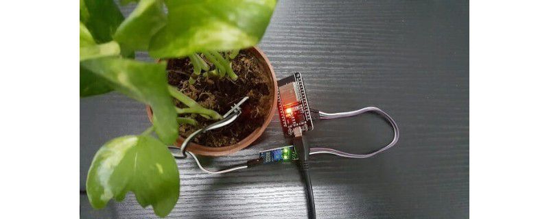 Water Notification for Plants using Blynk and Moisture Sensor on ESP32.