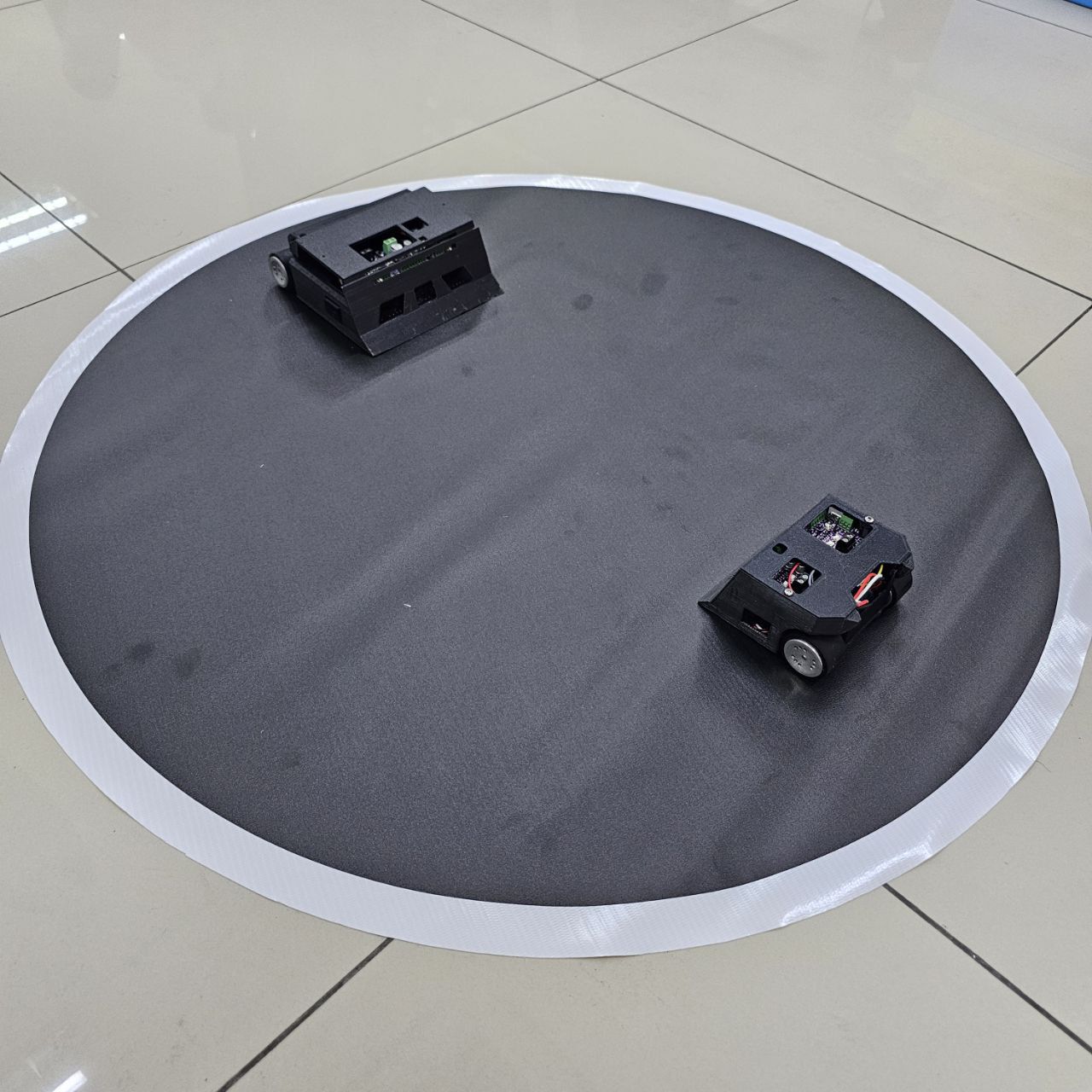 500g Sumo Robot Map