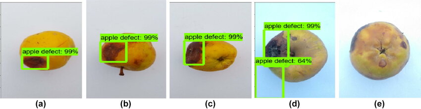 Defect Detection With Raspberry Pi Ai Kit