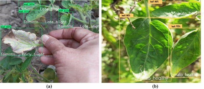 Exploring Lightweight AI Models for Raspberry Pi Applications