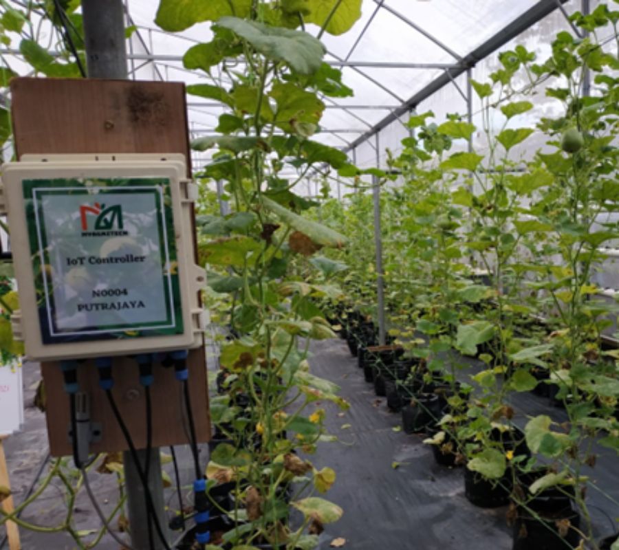 Raspberry Pi Success Story: Empowering Modern Farming with IRIV ...
