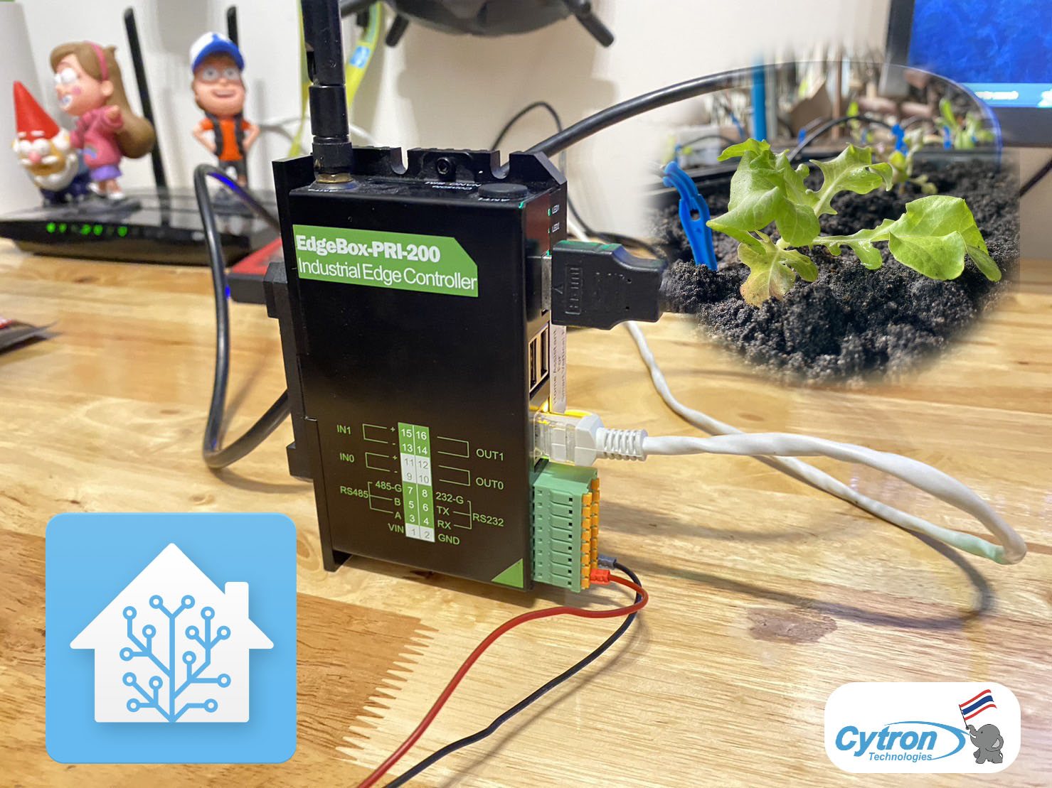 สร้าง Smart Farm ด้วย Home Assistant และ Raspberry Pi EP.3